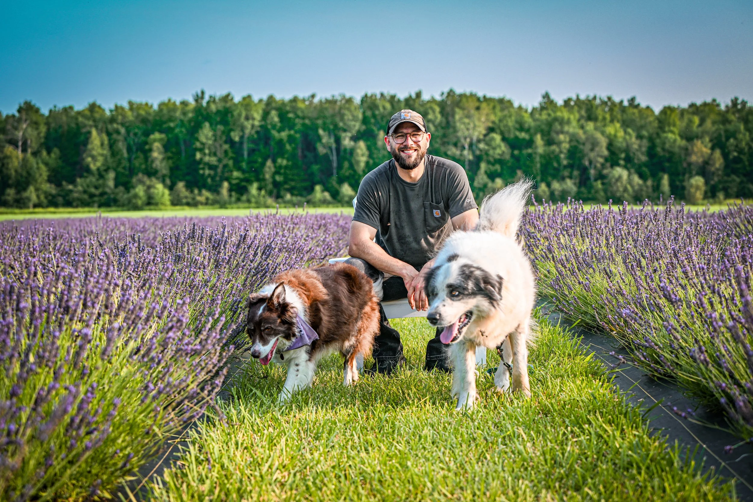 The Lavender Homestead
