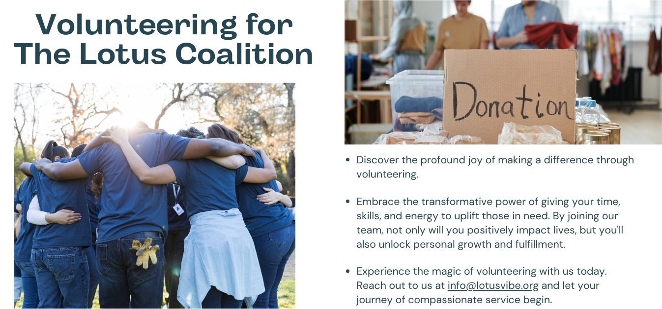 Volunteer at The Lotus Coalition — The Lotus Coalition