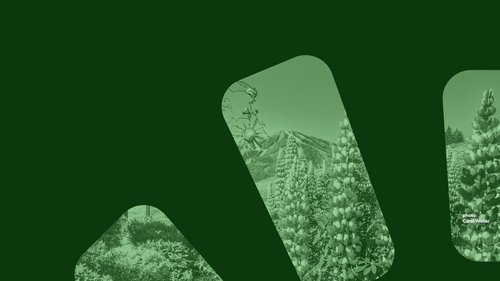 Test — Spur Community Foundation