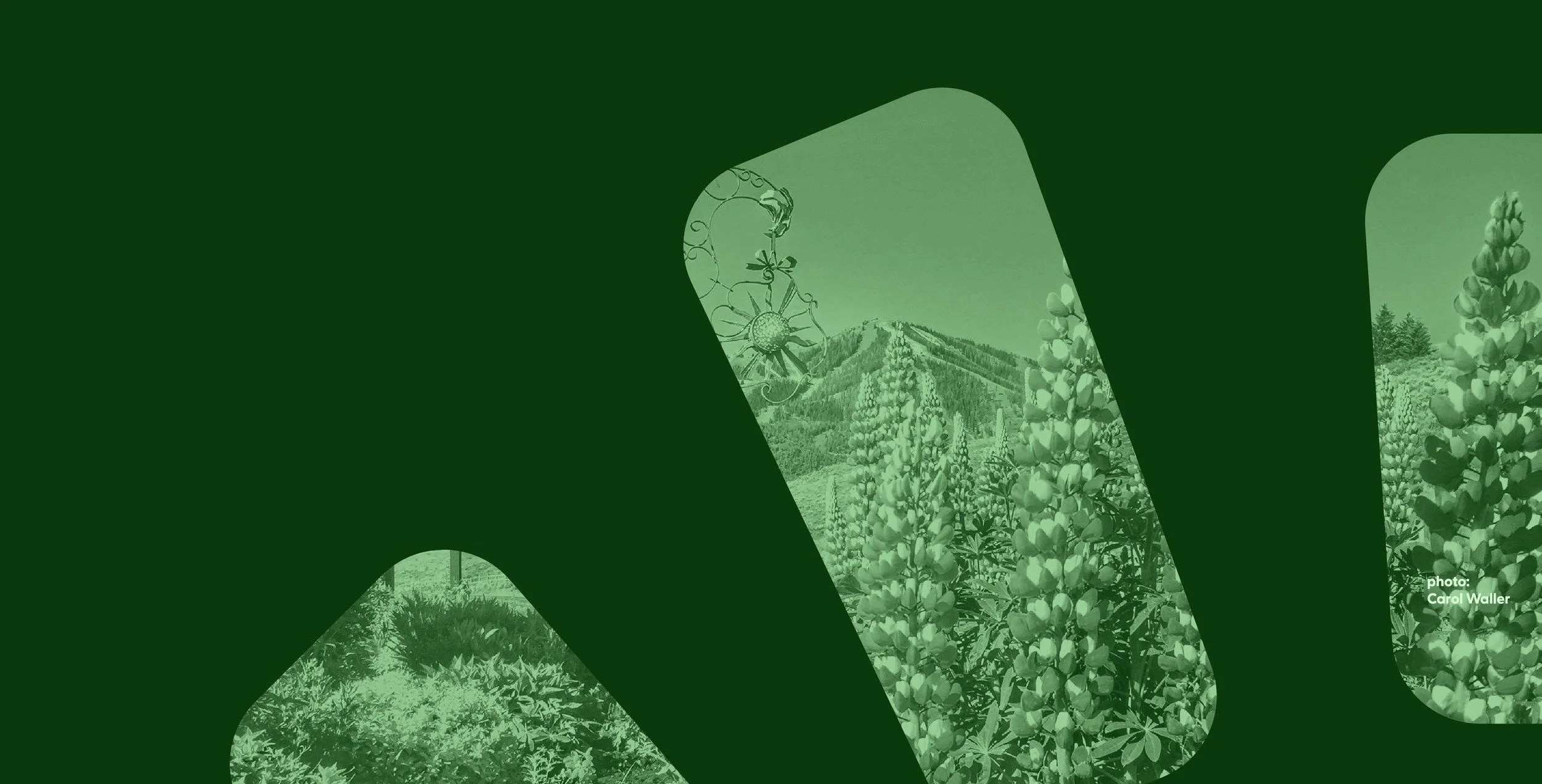 Nonprofit Directory — Spur Community Foundation