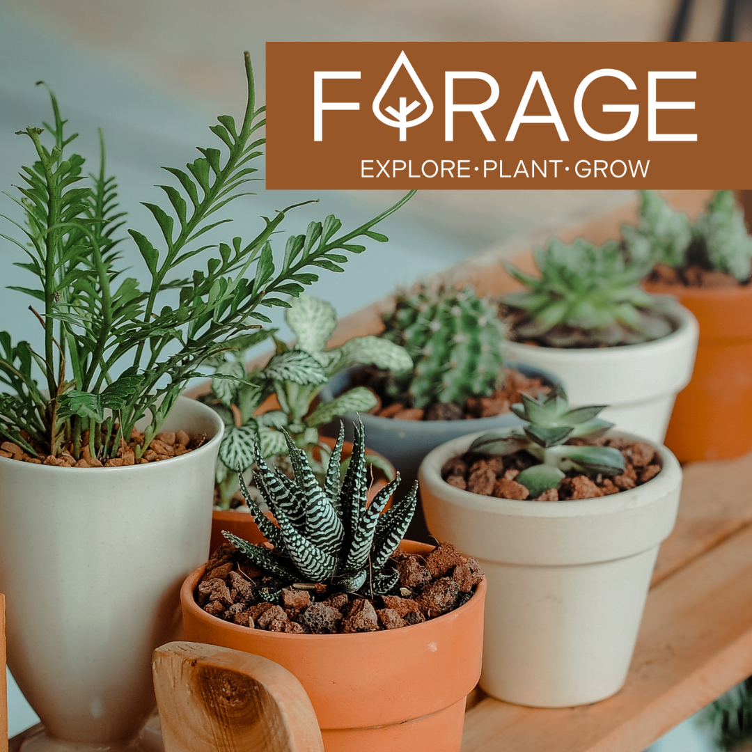 Brand Design — Ollie Kat Design