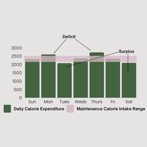How Body Re-comp at Maintenance Works — Elevated Pursuit Nutrition