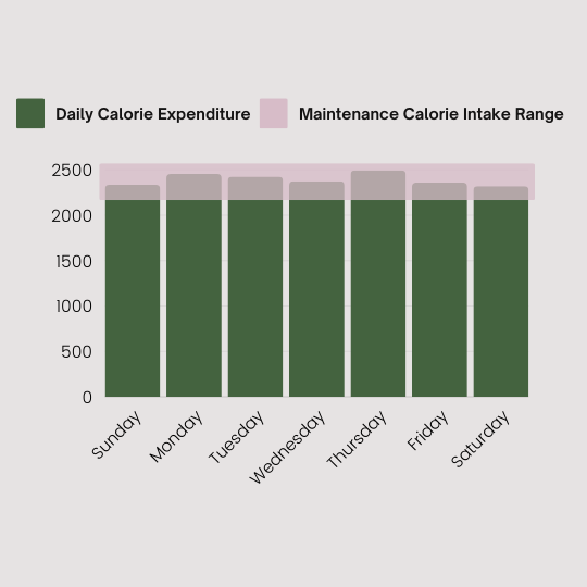 How Body Re-comp at Maintenance Works — Elevated Pursuit Nutrition