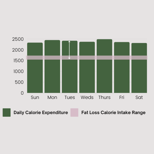 How Body Re-comp at Maintenance Works — Elevated Pursuit Nutrition