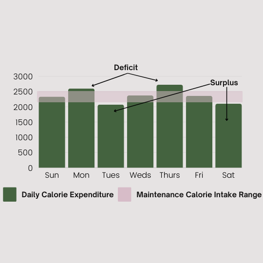How Body Re-comp at Maintenance Works — Elevated Pursuit Nutrition
