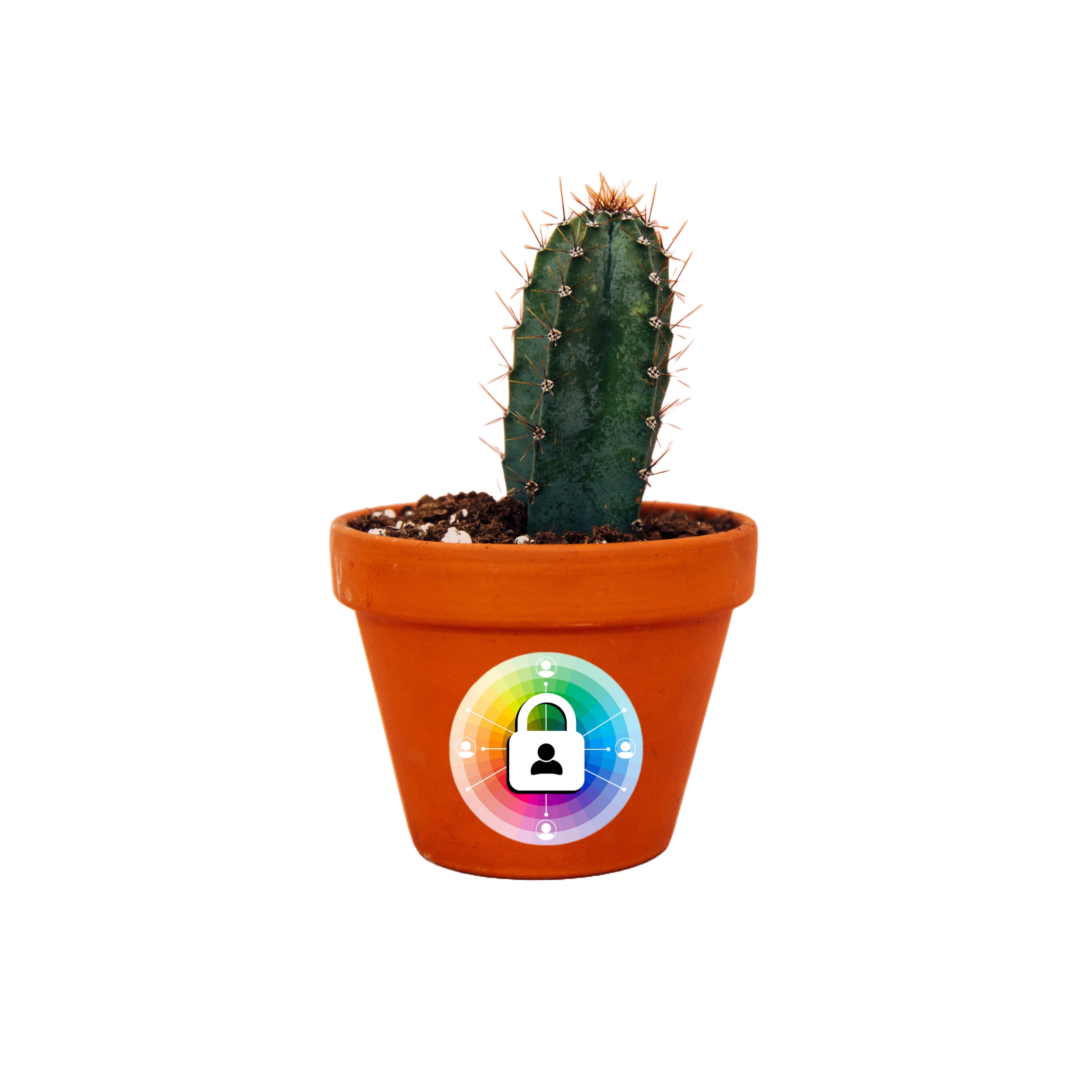 Compromising Positions Cybersecurity Podcast