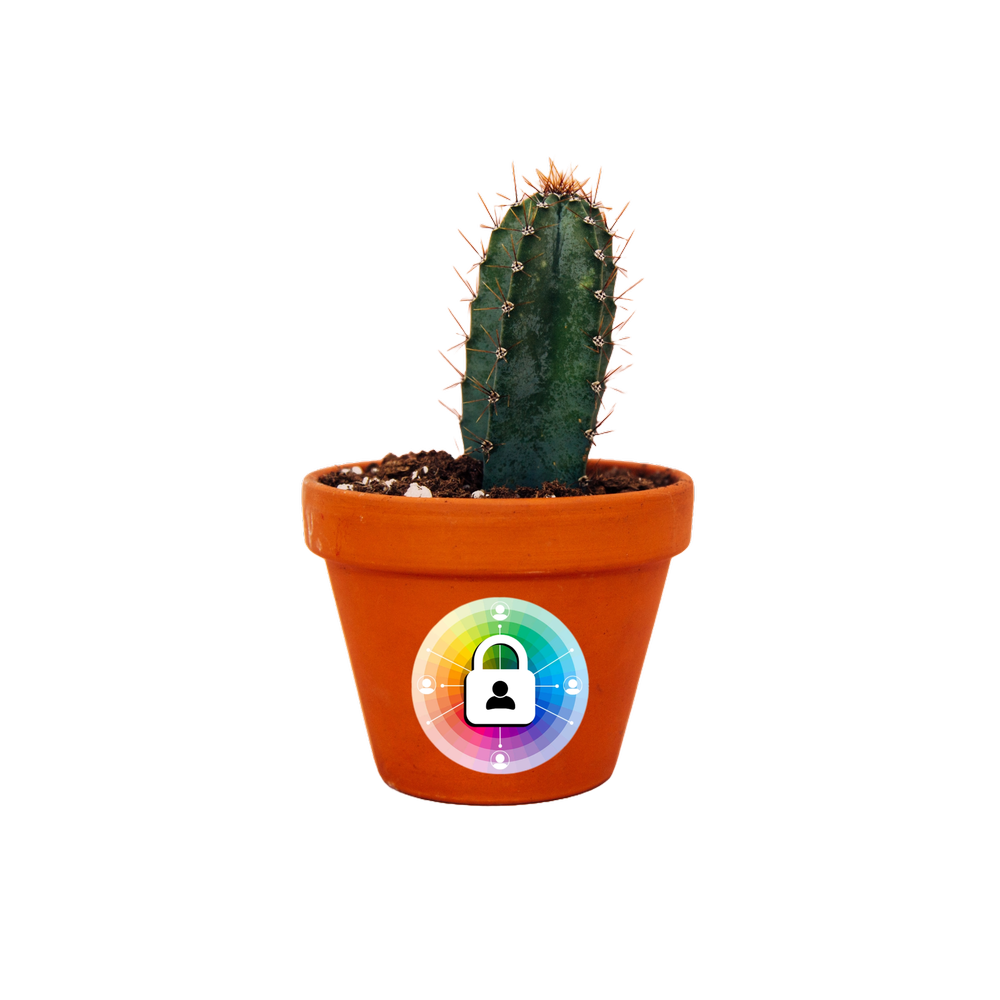 Compromising Positions Cybersecurity Podcast