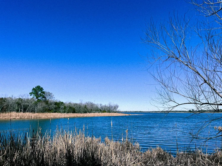 A Guide to Visiting Lake Bastrop South Shore LCRA Park | Roam the Outer ...