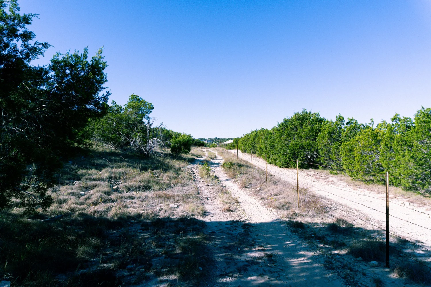 24 Hiking Trails In and Outside of Austin, TX | Roam the Outer Space