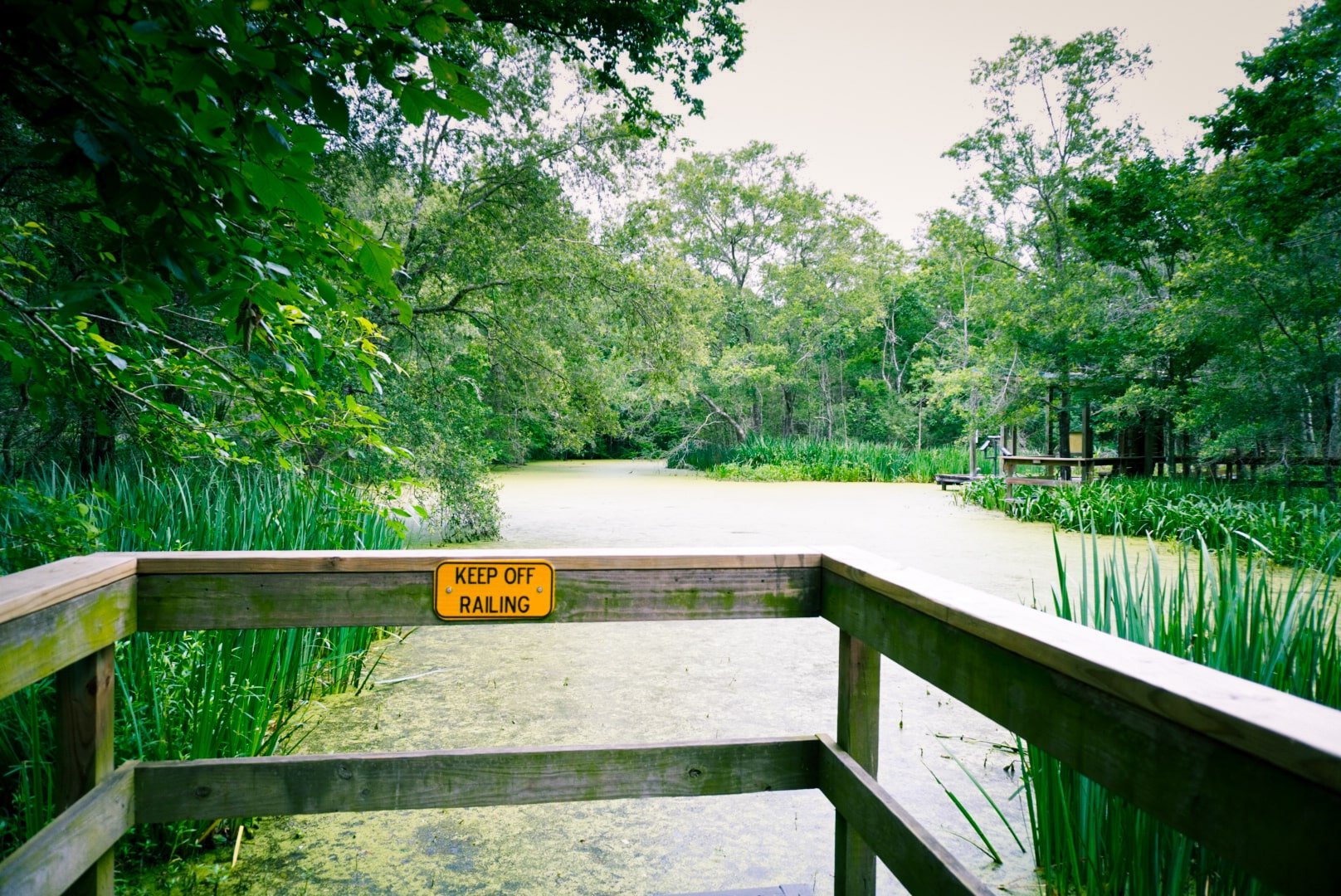 A Visitor’s Guide to Armand Bayou Nature Center | Roam the Outer Space