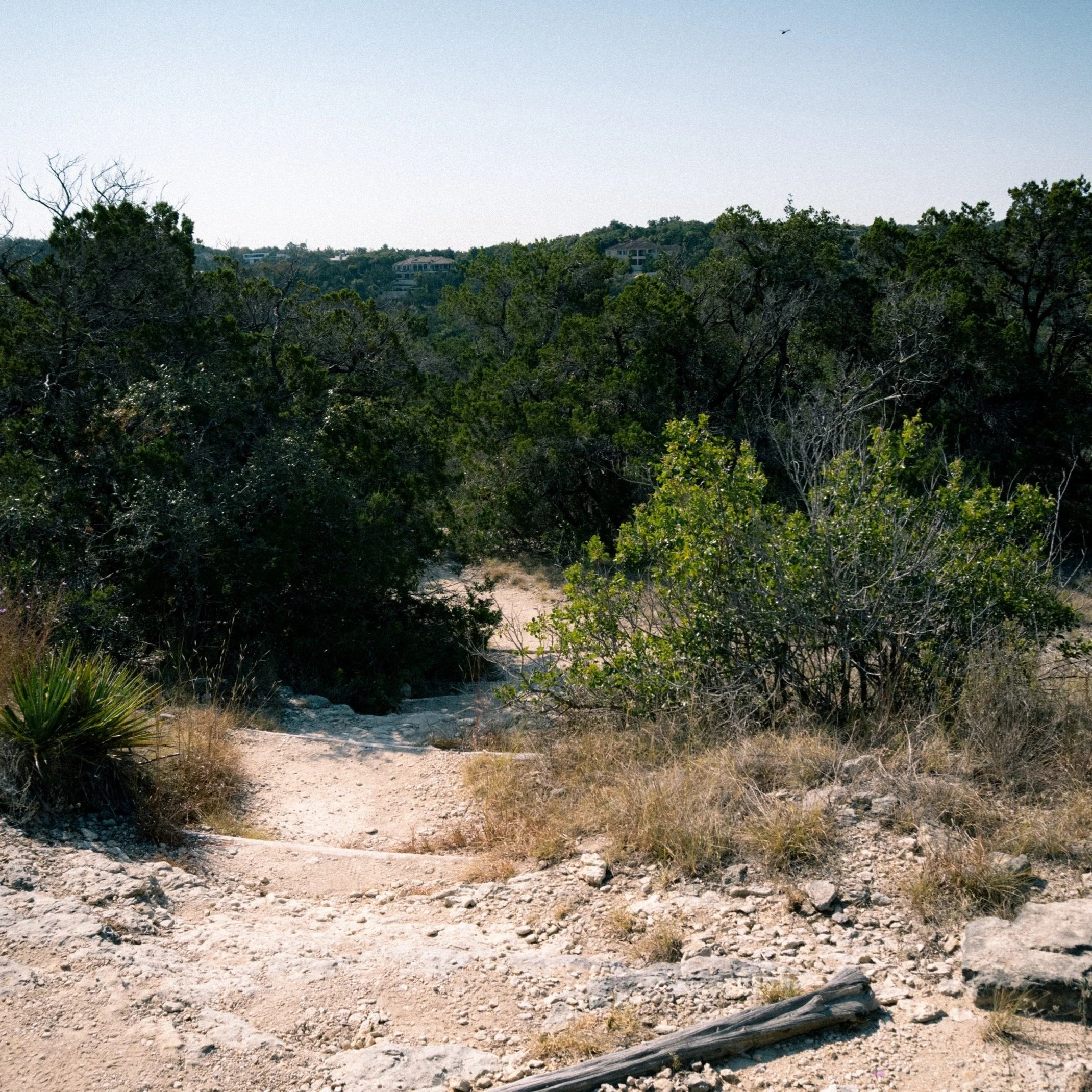 24 Hiking Trails In and Outside of Austin, TX | Roam the Outer Space