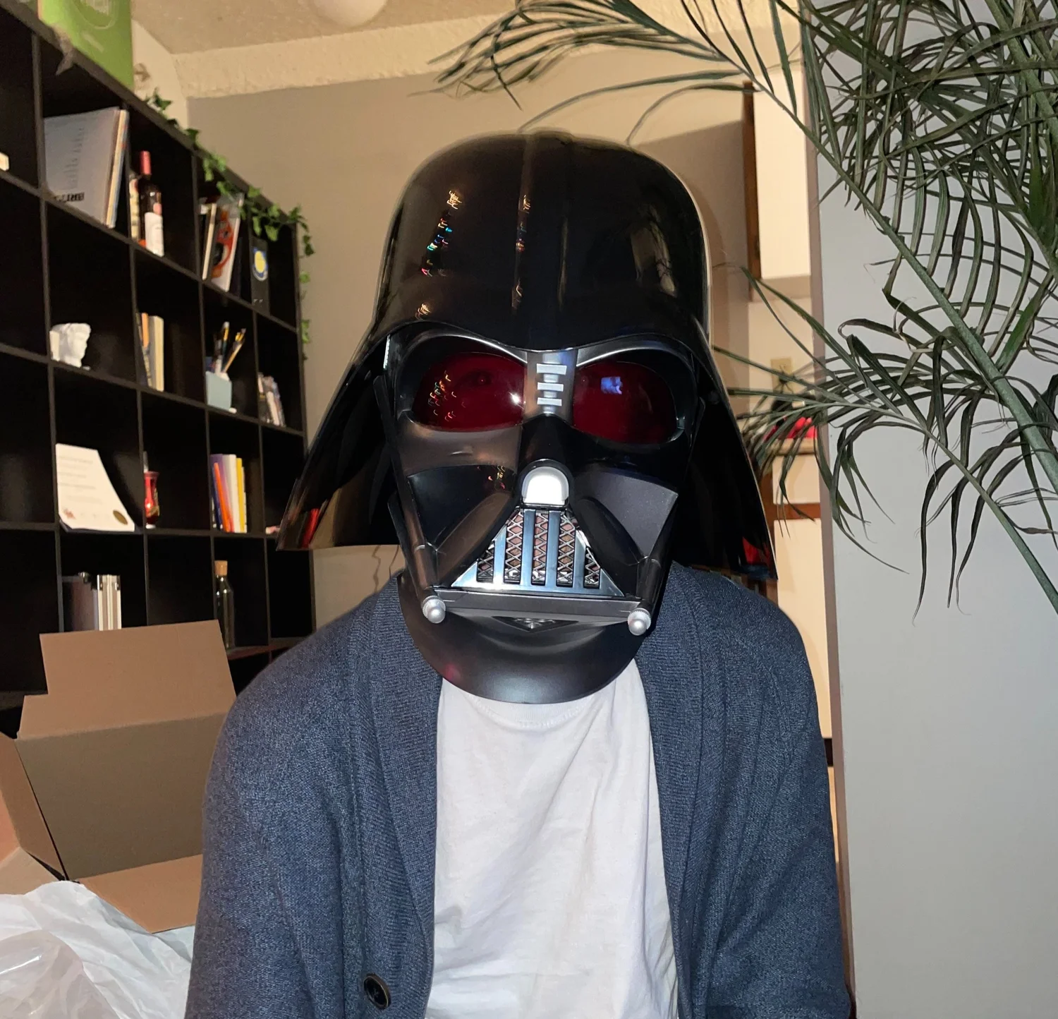 Justice For Liam Johnston