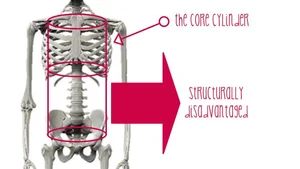 Understanding Your Core Muscles — Healthy Mumma & Baby