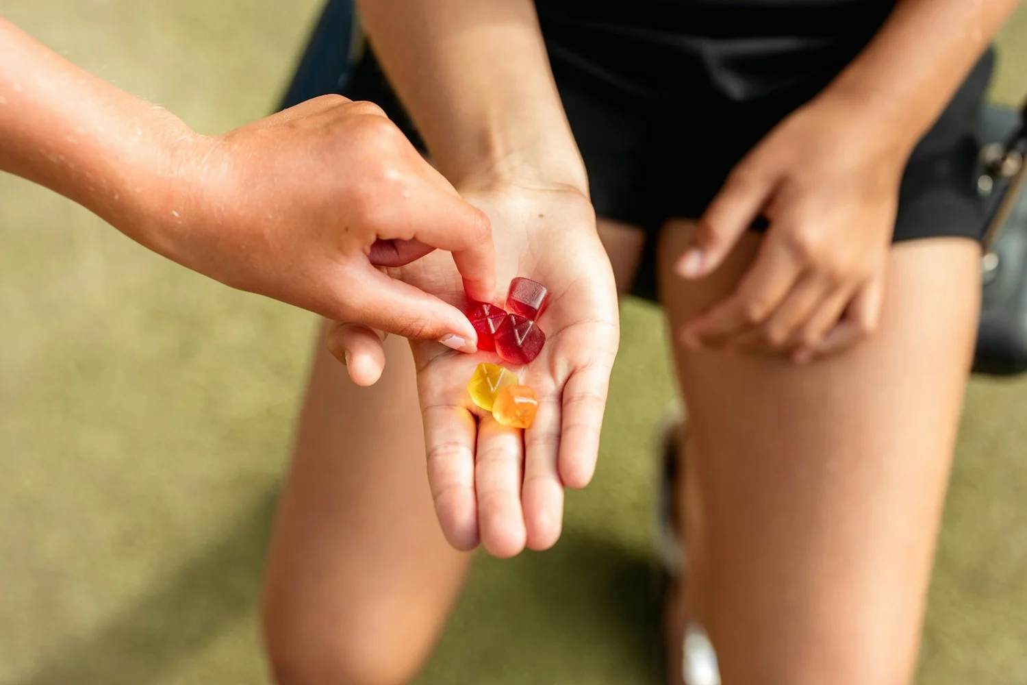 How To Make Cannabis Gummies: A Full Guide — Tree Hugger Containers