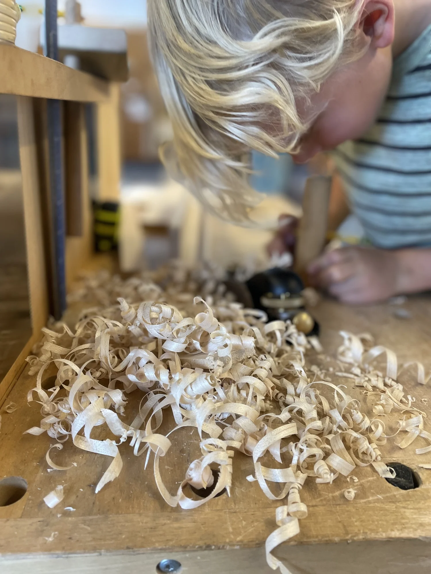 The Program — Sloyd Experience