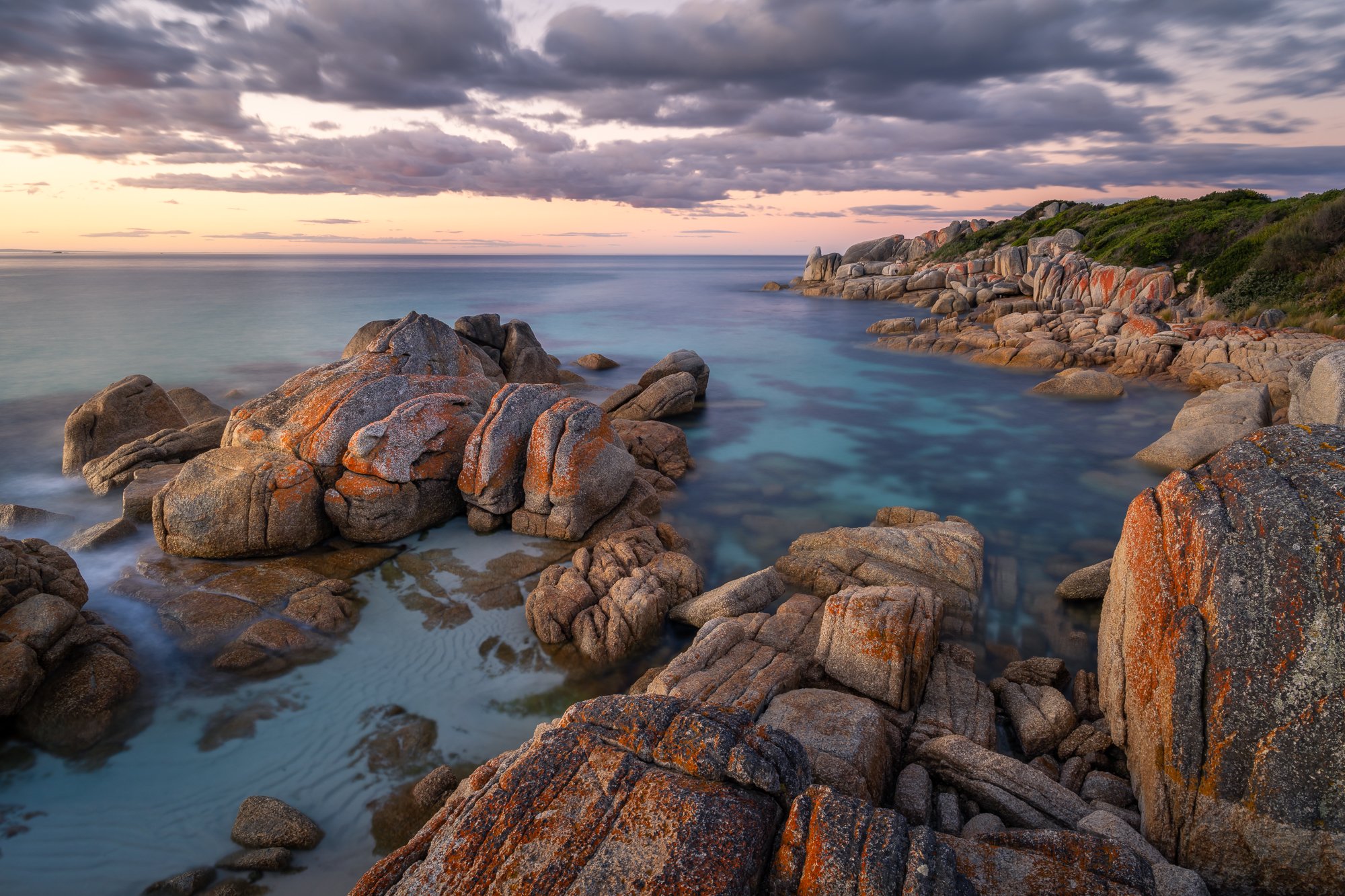 Joy Kachina Photography