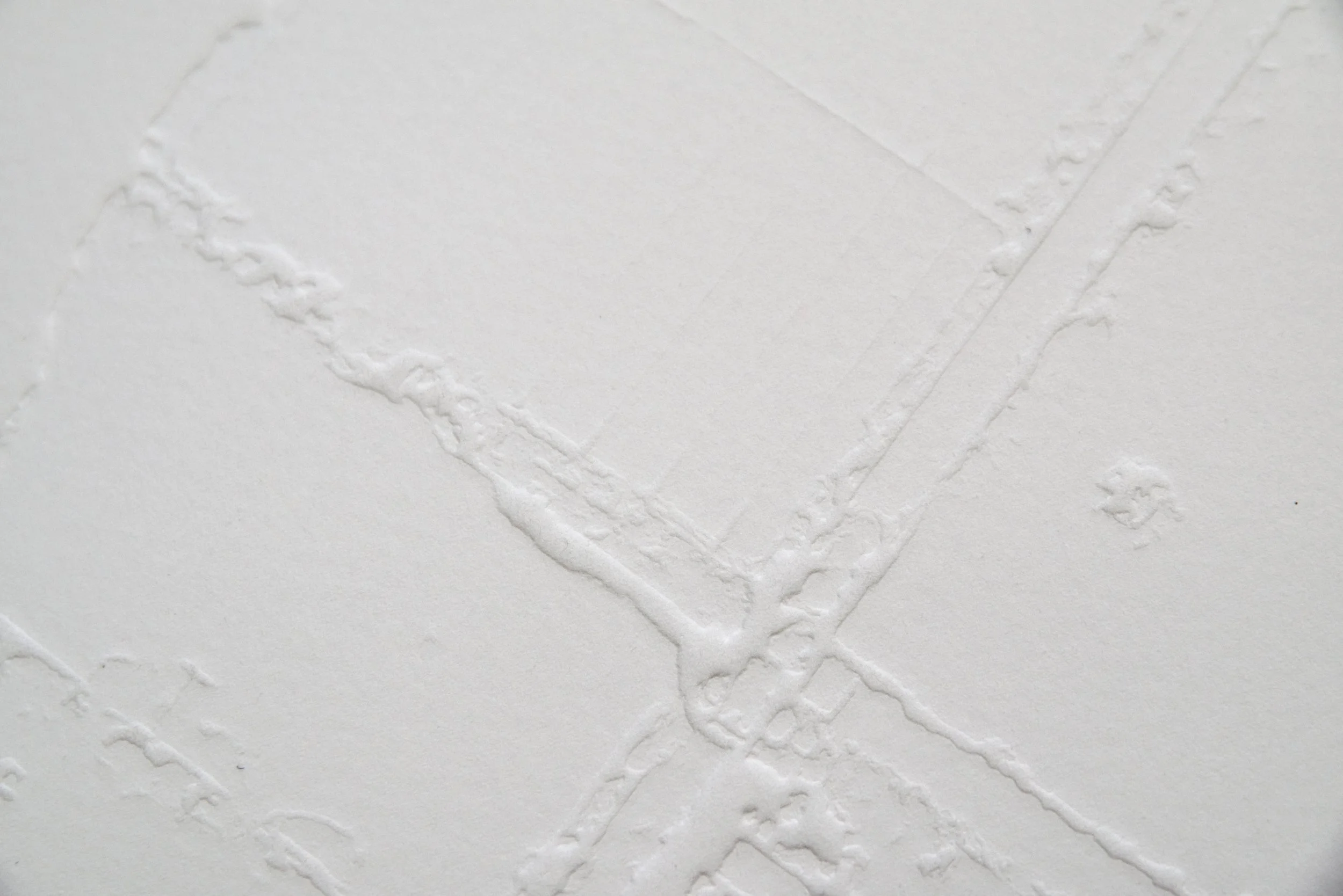 Nazgol Ansarinia | Discover Art Prints—Start Your Collection — Atelier JI