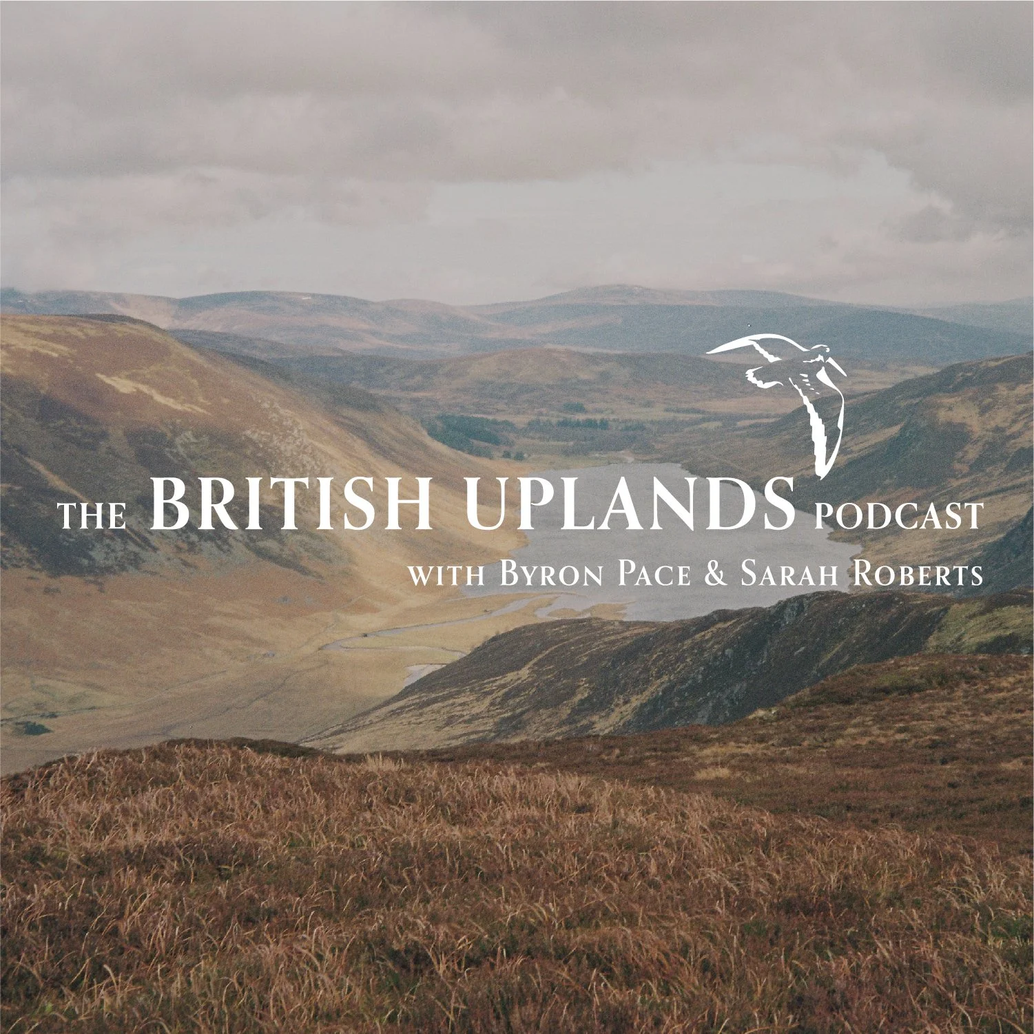 The British Uplands