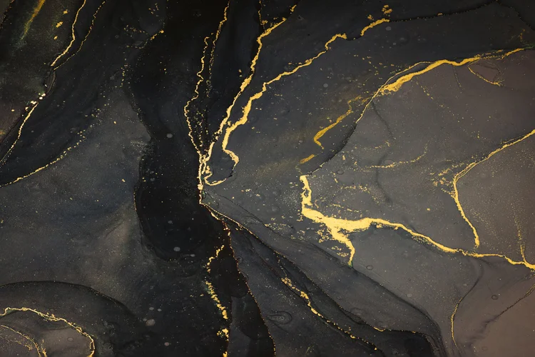 Haworthia Zong Li Huang — The Majestic Roots