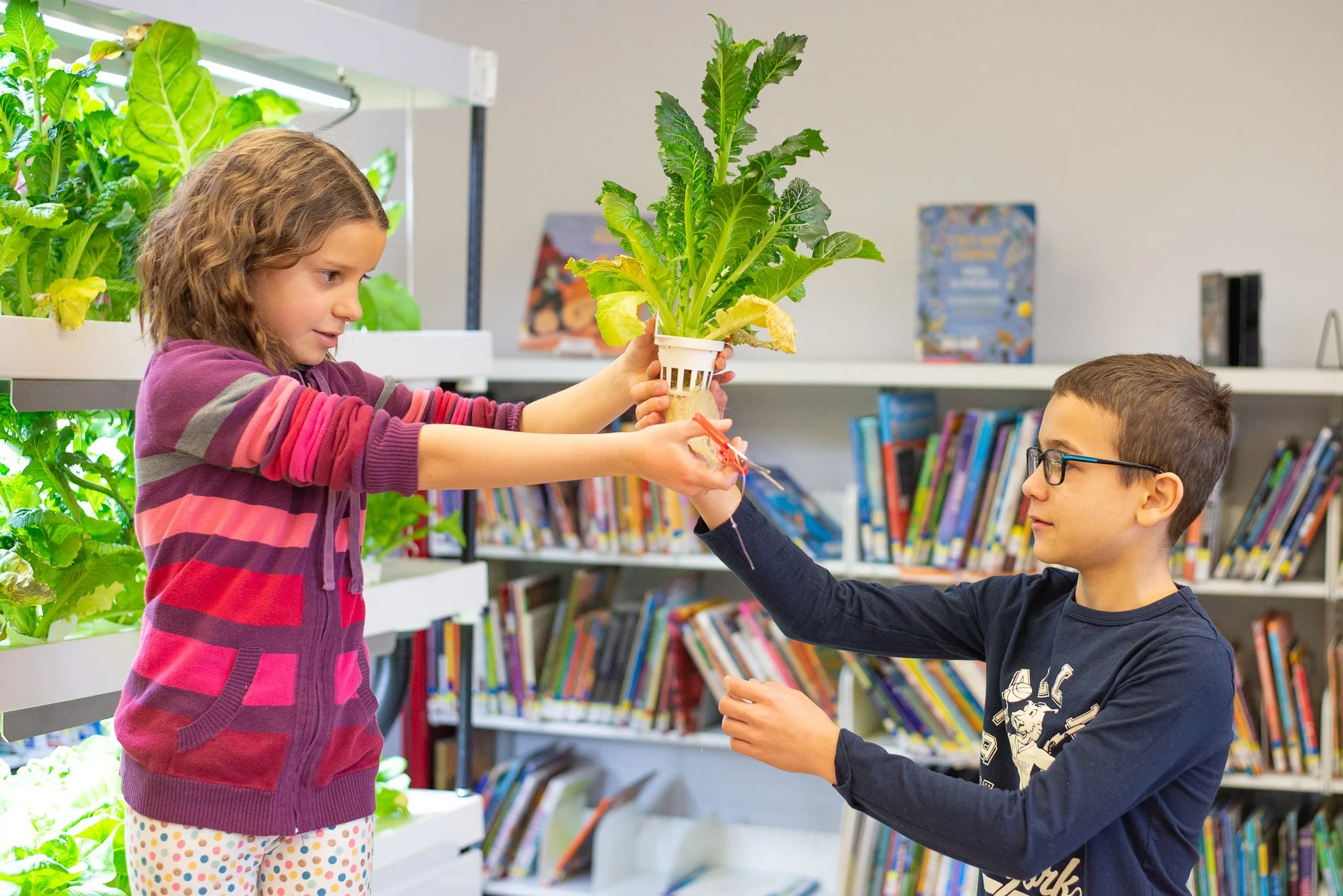 Vireo Education Solution — Vireo Education