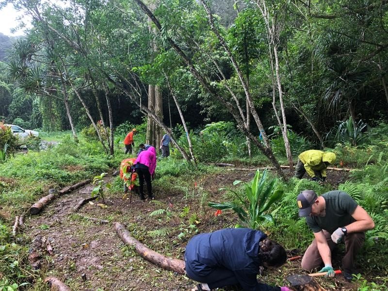 Waiheʻe Valley — The Koʻolau Mountains Watershed Partnership