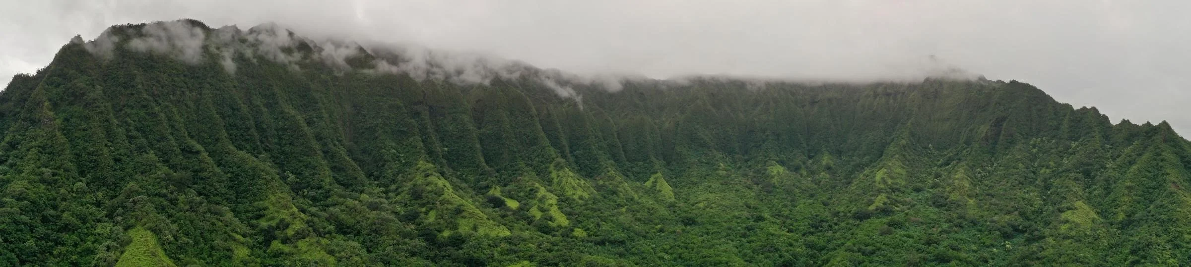Waiheʻe Valley — The Koʻolau Mountains Watershed Partnership