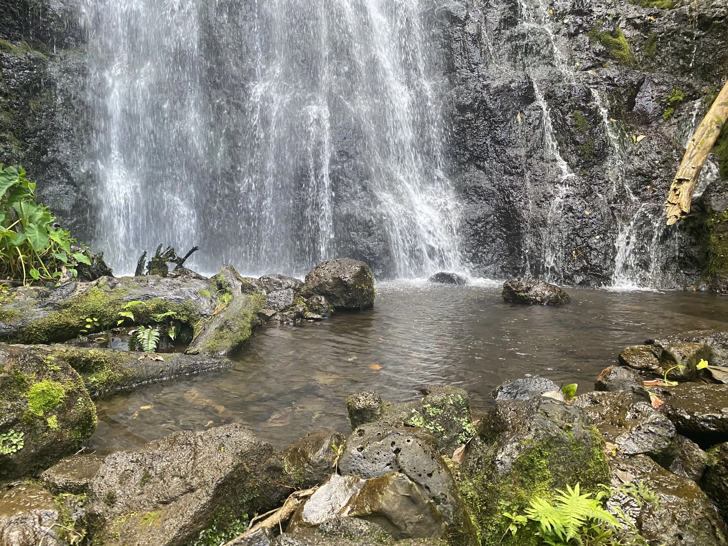 Waiheʻe Valley — The Koʻolau Mountains Watershed Partnership