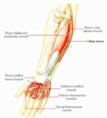 Numb Hands on the Bike — Thrive Physical Therapy