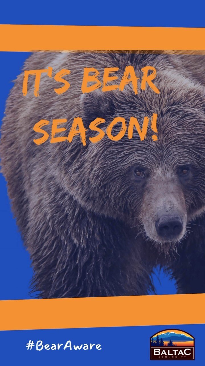 News — Baltac Community