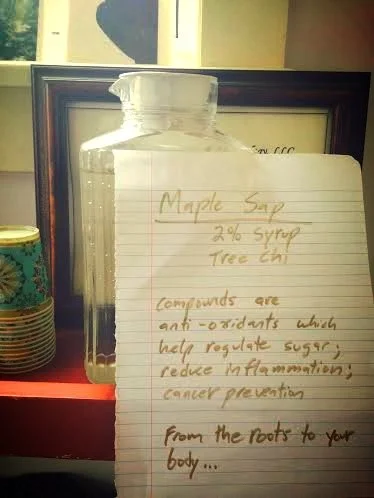 Maple Sap Medicine — Milk & Honey Herbs