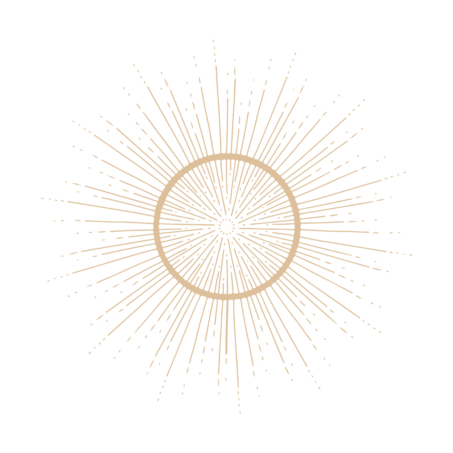 The Dallas Movement Collective