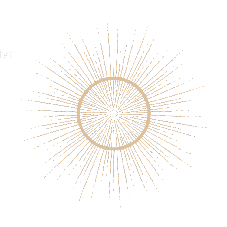 The Dallas Movement Collective