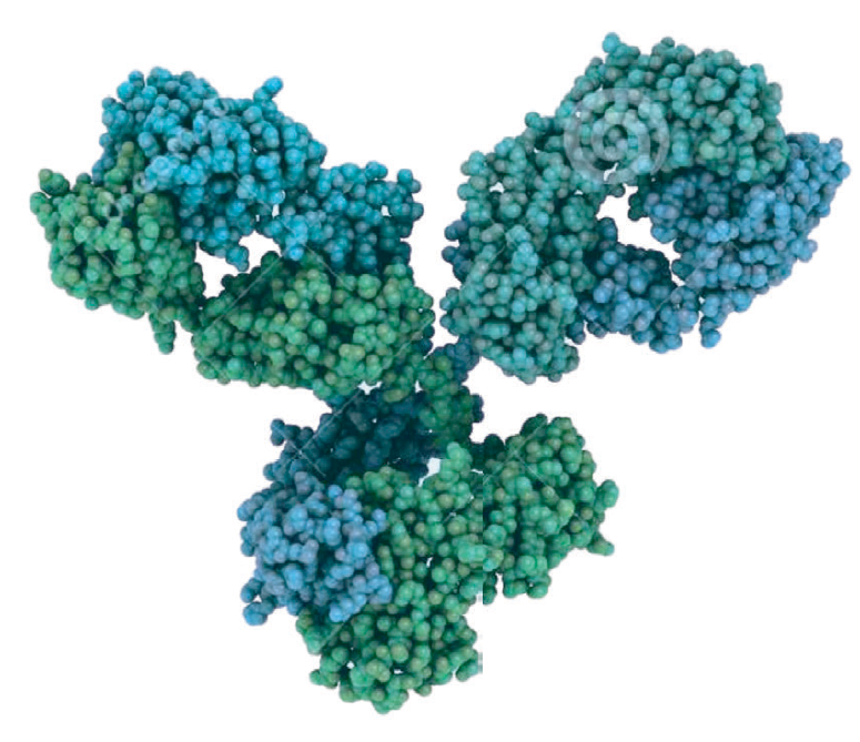 Assay Menu Procisedx 2023