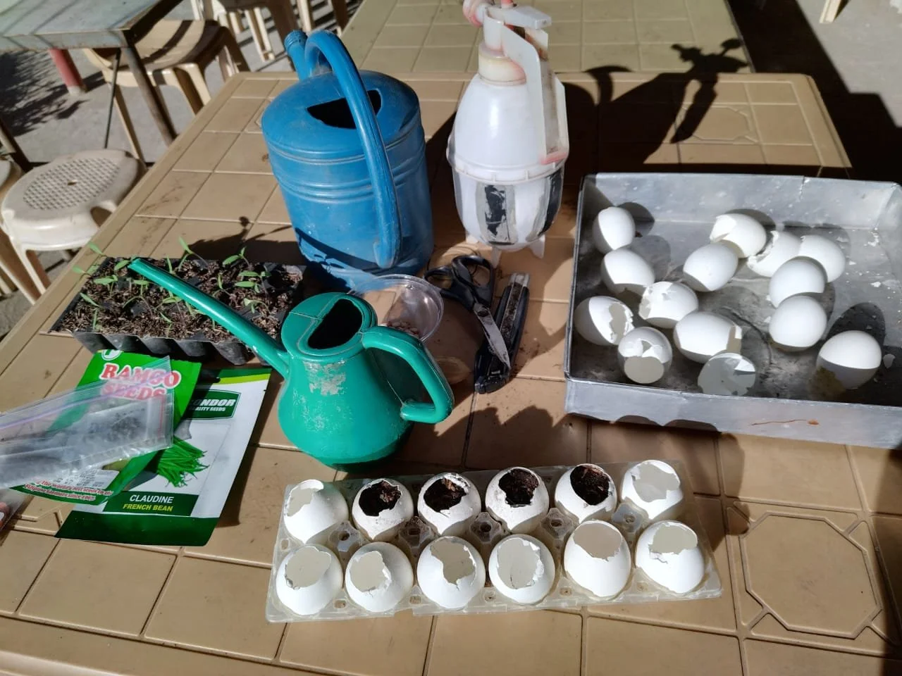 How Jon Libag and Seed Project Asia Empower Communities through ...