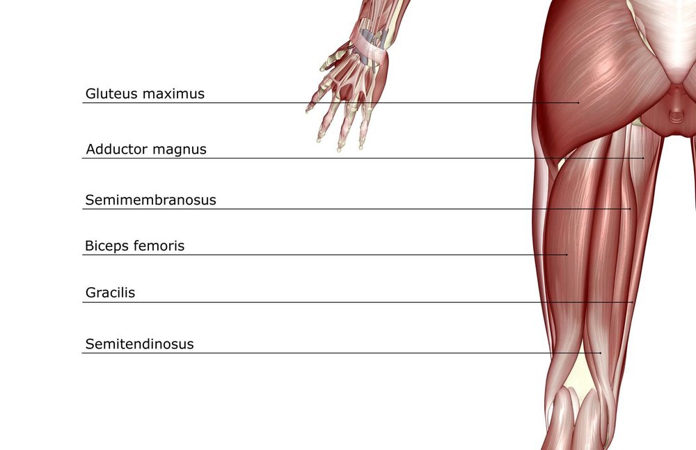 Usain Bolt World Championships 2017 Hamstring Tear Case Study — Mending ...
