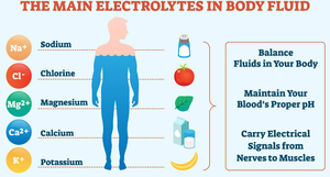 Is Gatorade or Powerade better to fuel your workouts? — Mending Playbook