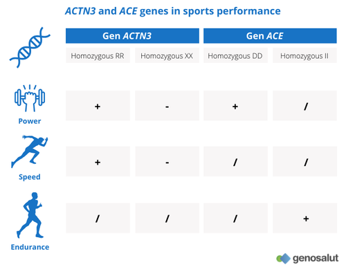 The Role of Genetic Predisposition in Sports Injuries — Mending Playbook