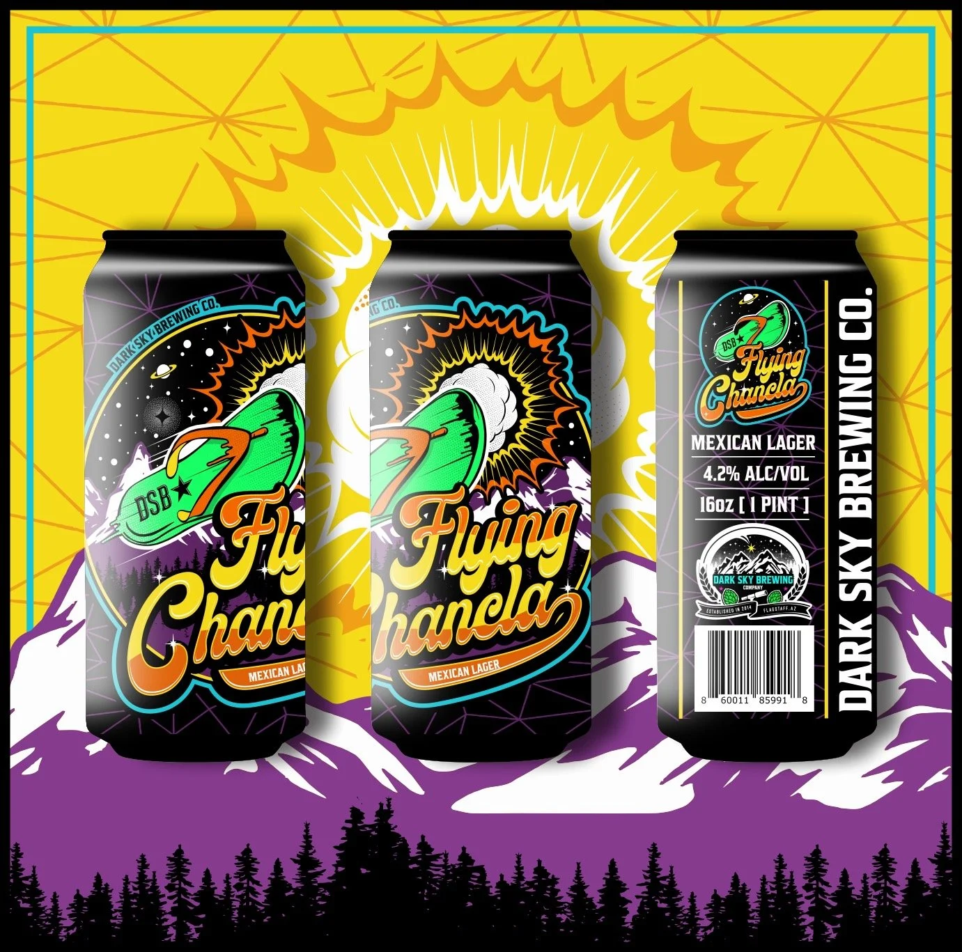 Beer — Dark Sky Brewing Co.