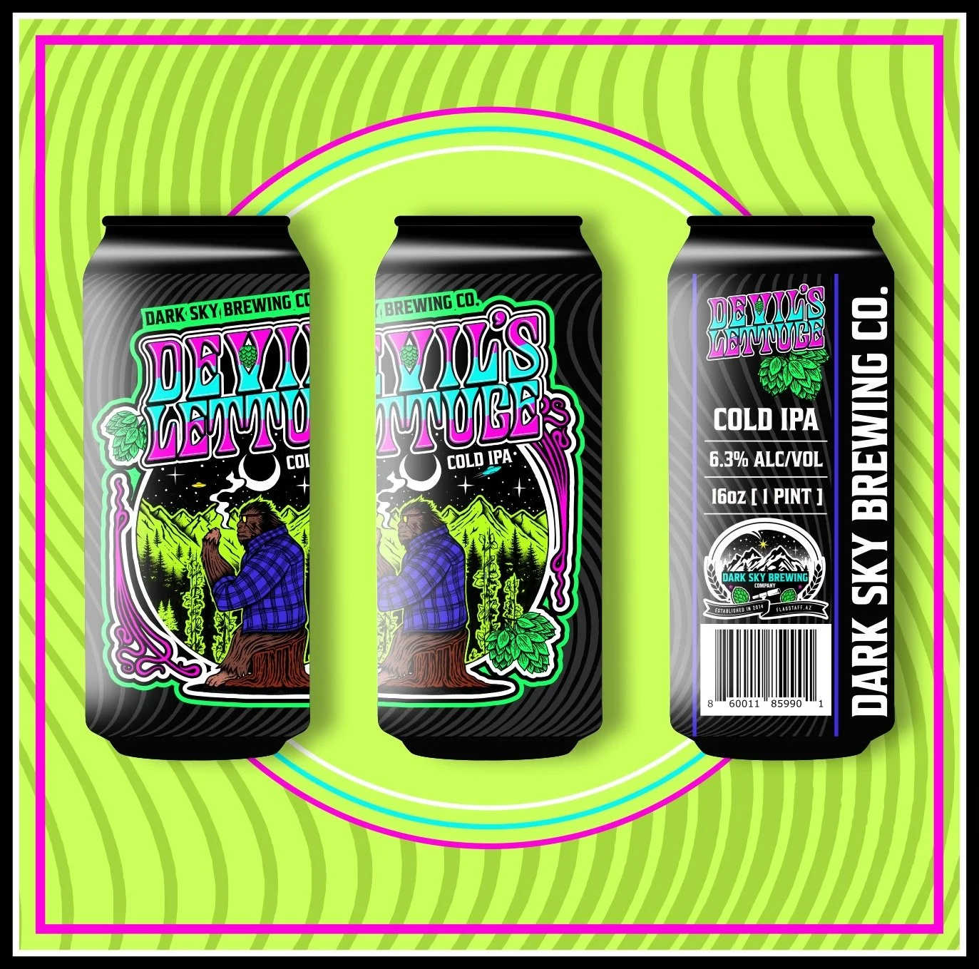 Beer — Dark Sky Brewing Co.