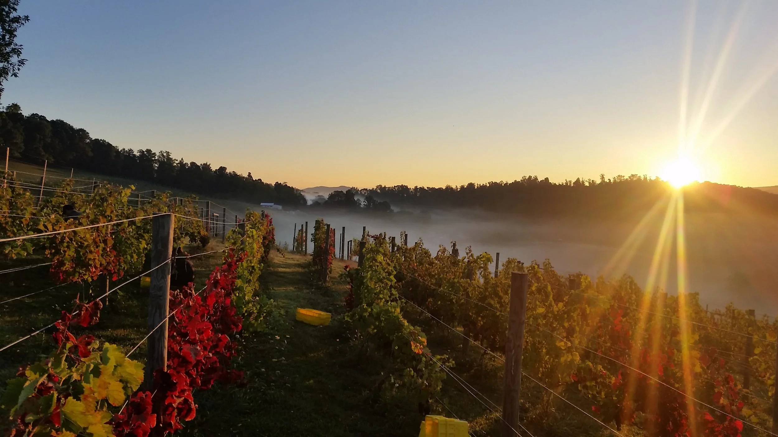 Winery&Food — Beliveau Farm Winery