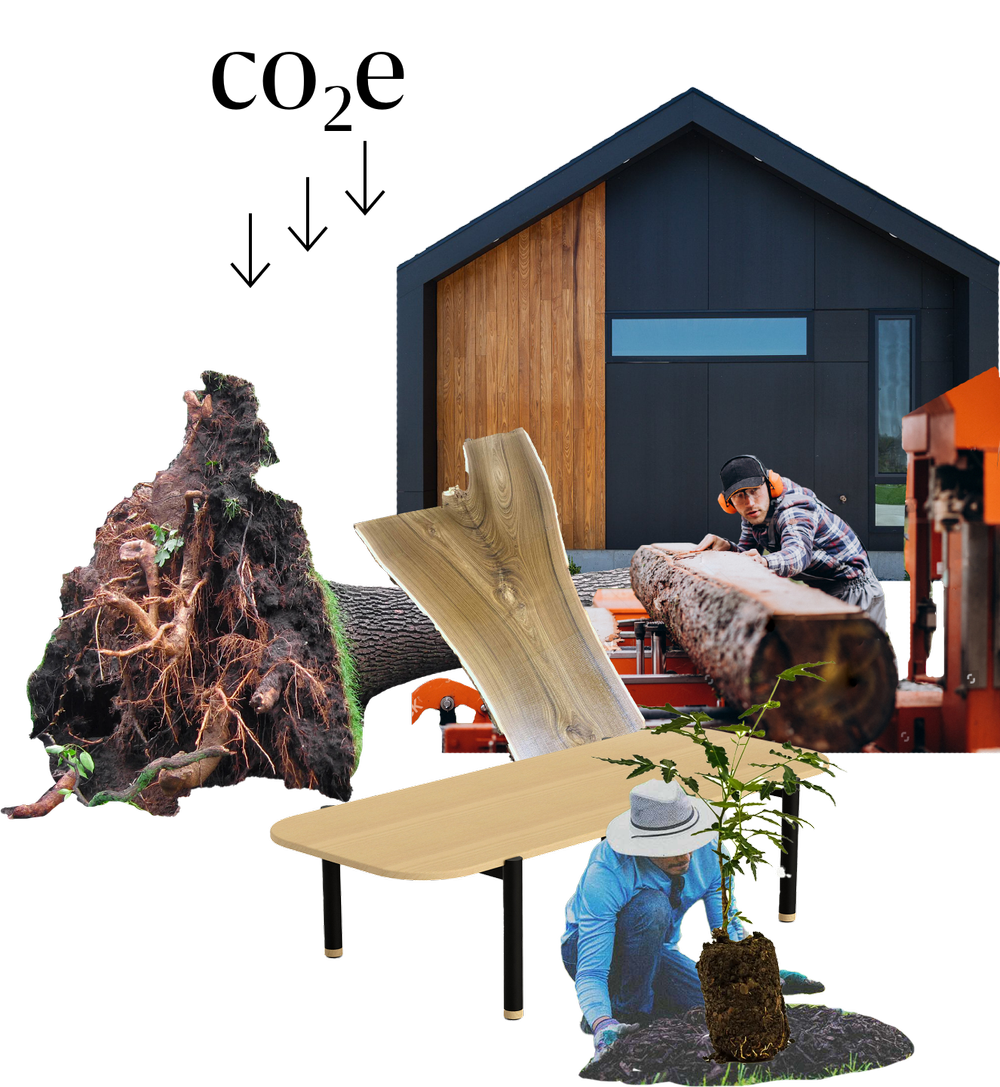 Carbon Smart Wood™