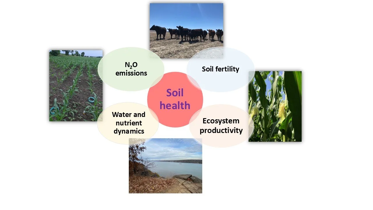 Xia Soil Systems Lab