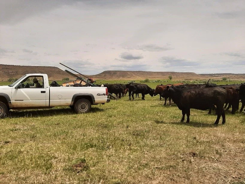 Previous Research — Xia Soil Systems Lab
