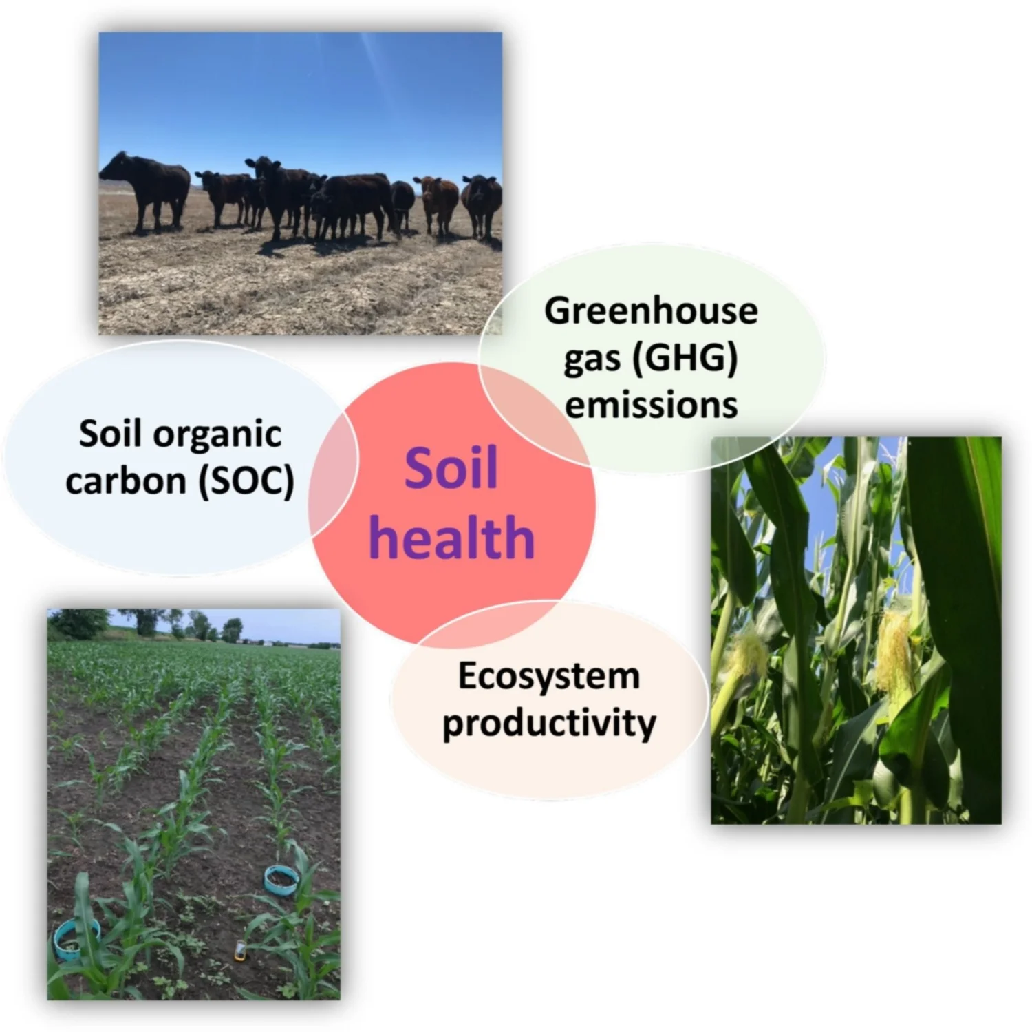 Xia Soil Systems Lab