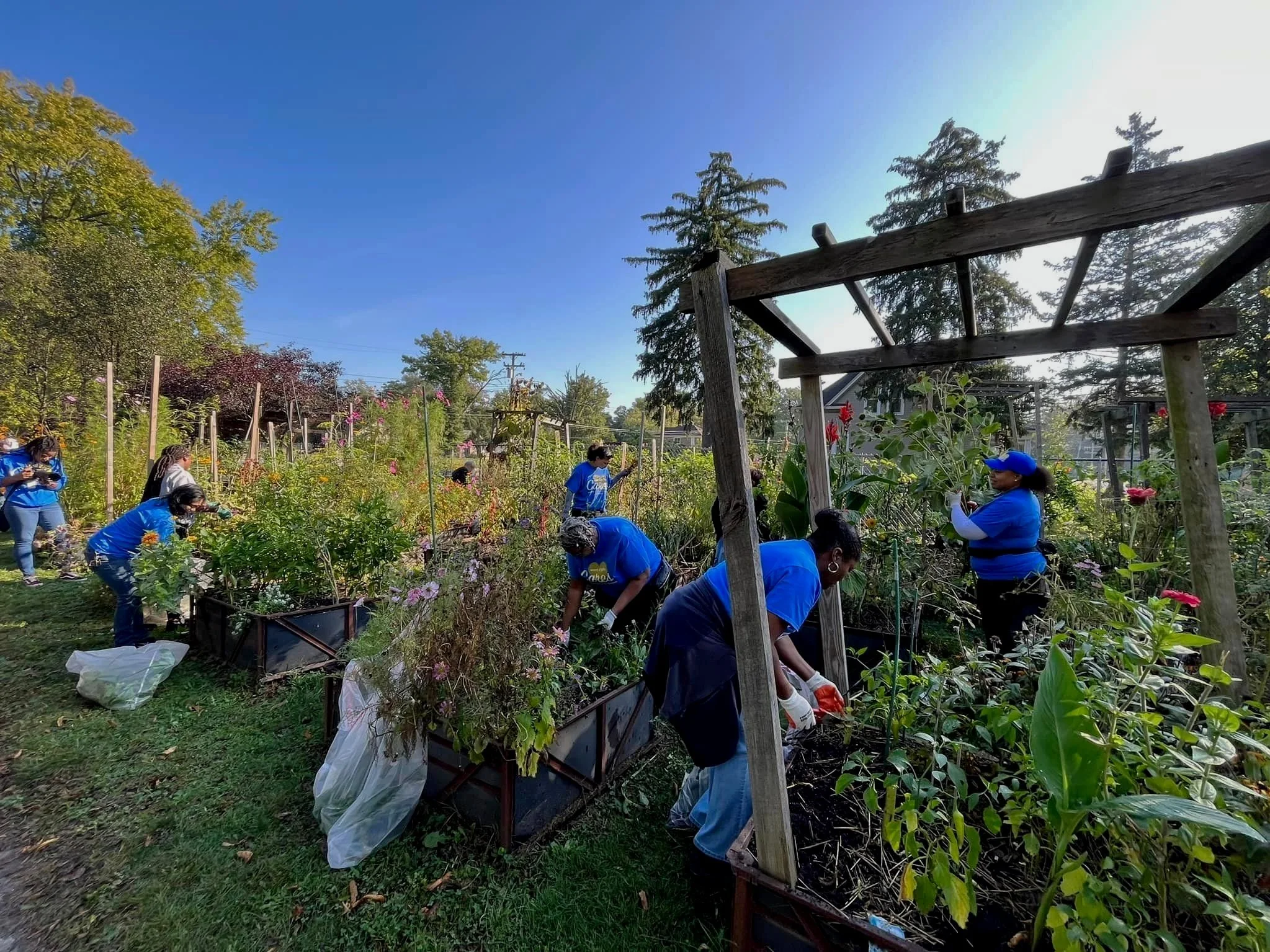 MSU Extension Master Gardener Project — Blight Busters