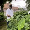 Volunteer — Blight Busters