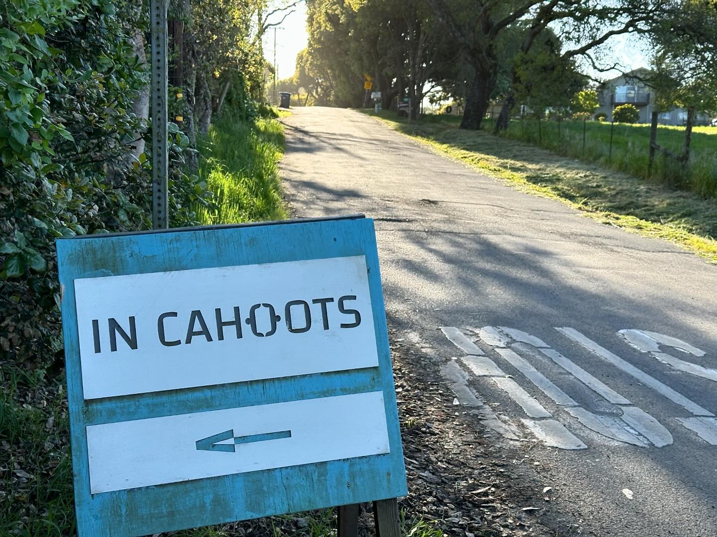 Rosa Naday is a multidisciplinary artist who blends contemporary art ...