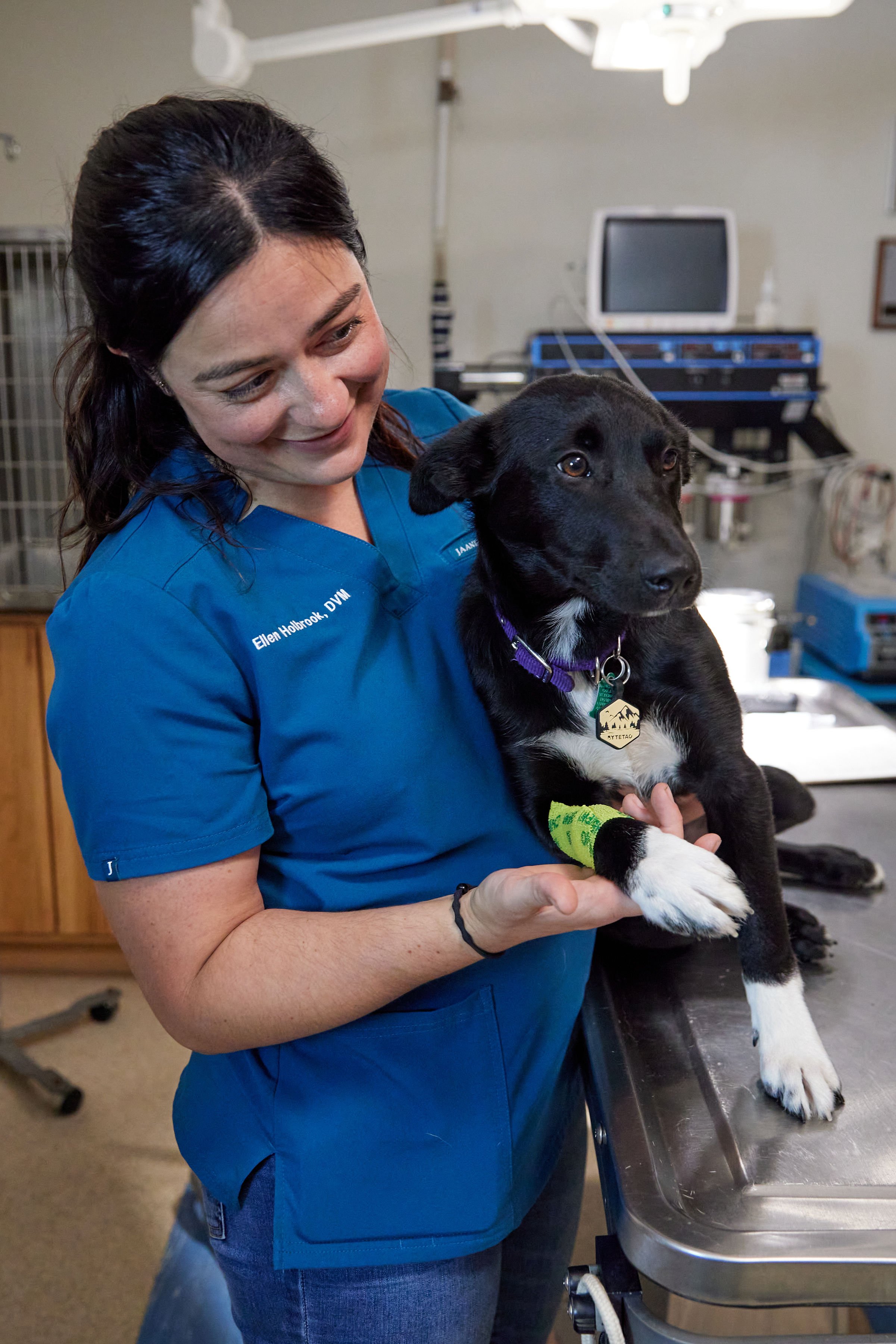 Colmey Veterinary Hospital