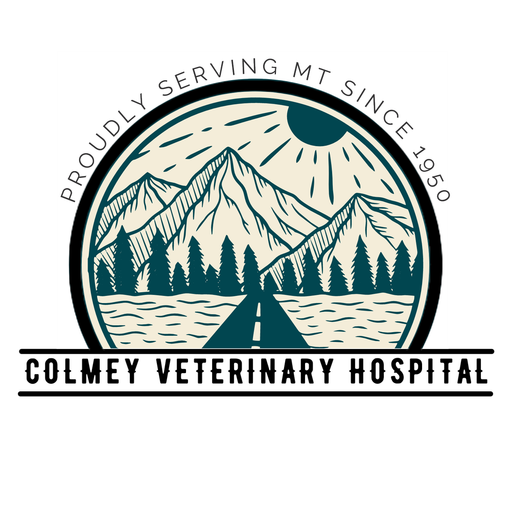 Medical Team — Colmey Veterinary Hospital