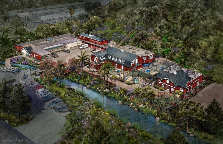 Plan Your Visit — Pacific Marine Mammal Center